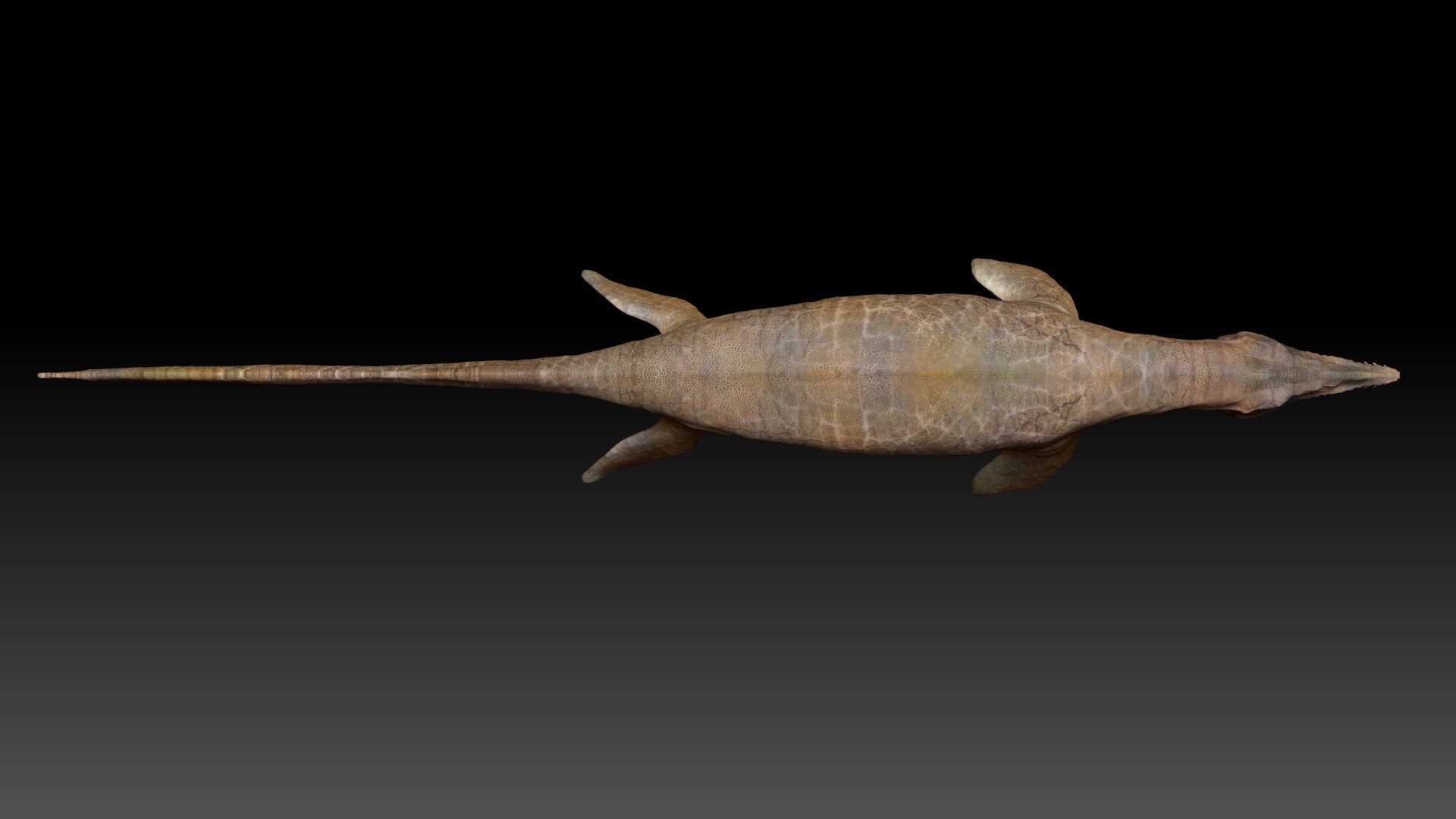 Tylosaurus Sculpt Project Model - TurboSquid 1777484