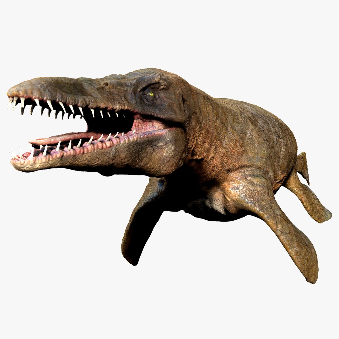 Tylosaurus Sculpt Project model - TurboSquid 1777484