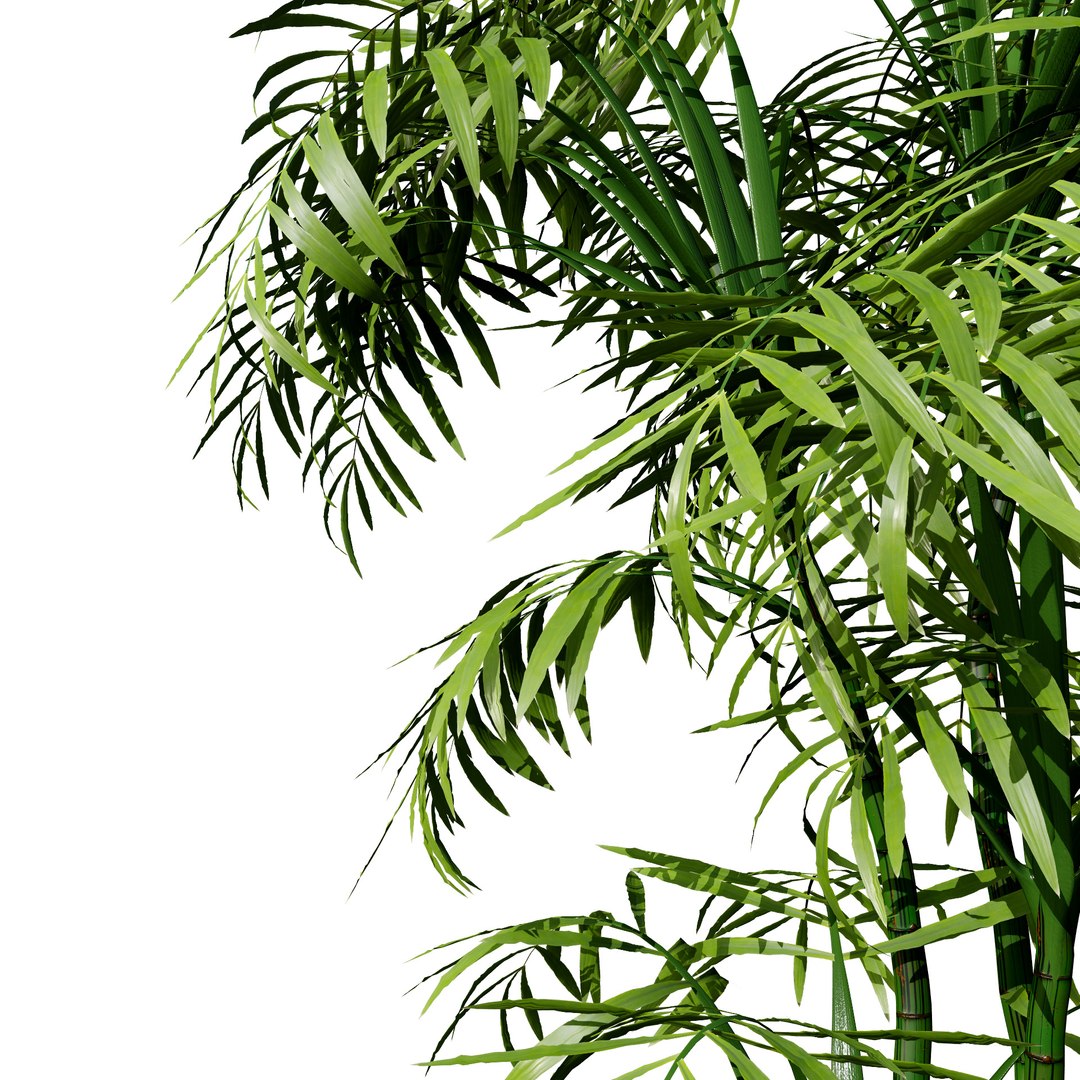 Indoor Palm Collection Model - TurboSquid 2257850