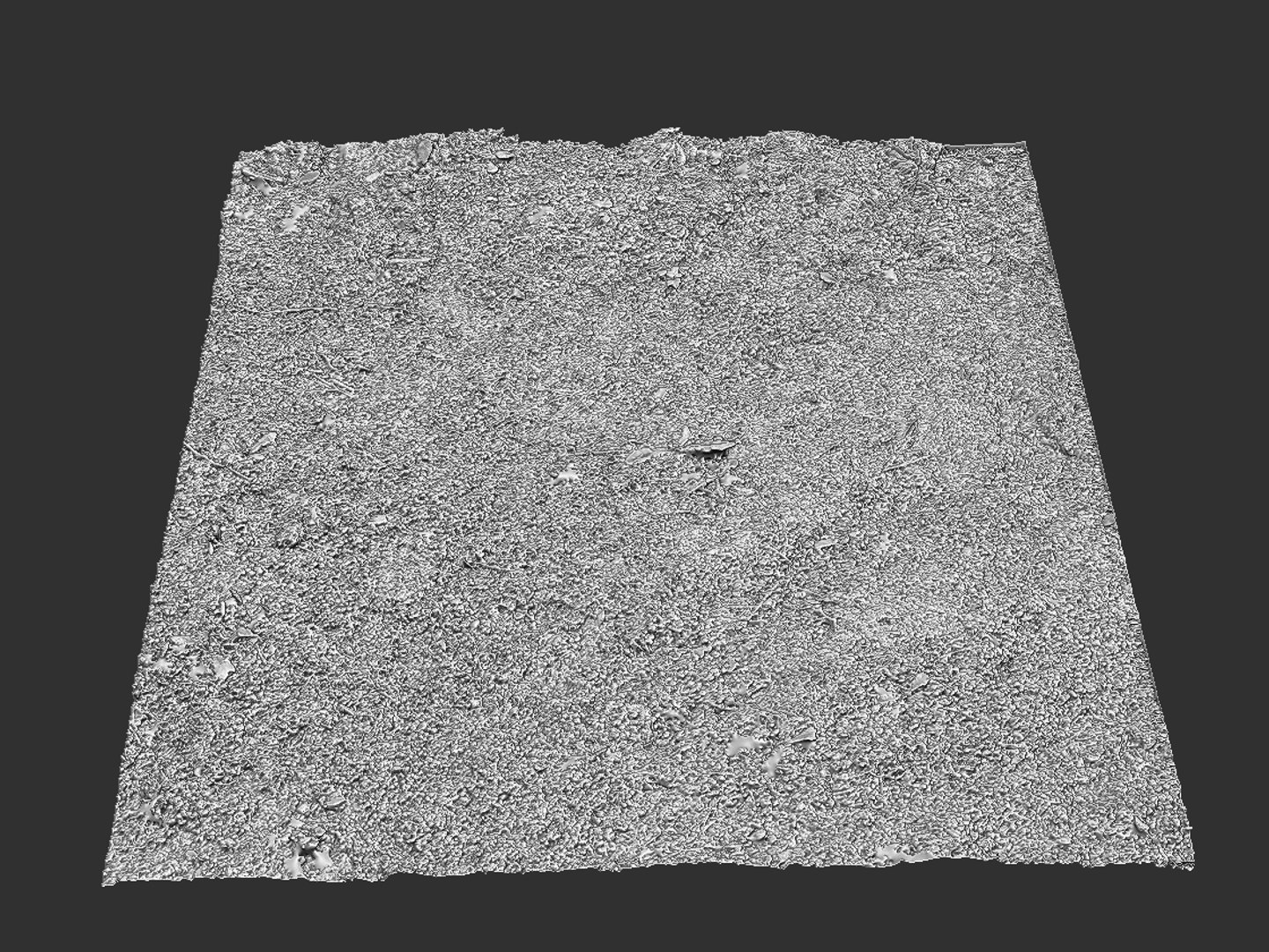 Forest Ground 16k Hd 3d Model