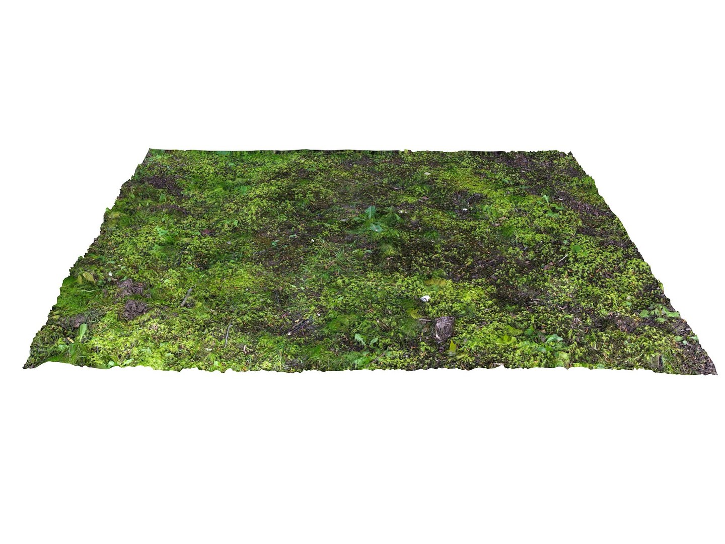 Forest Ground 16k Hd 3d Model