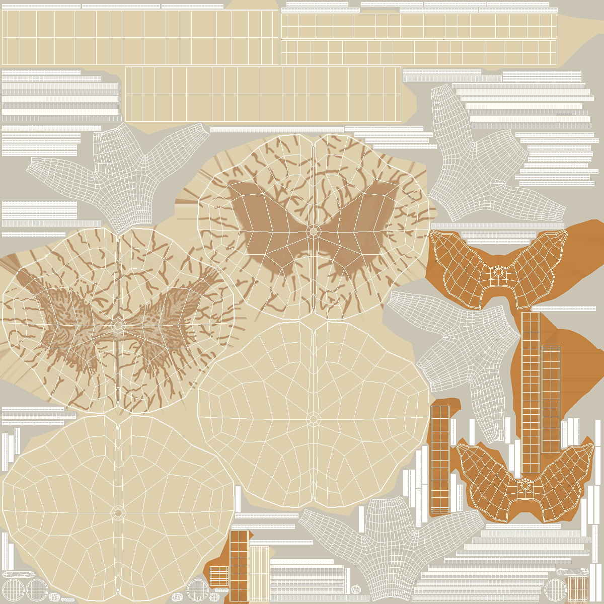 modelo 3d Anatomía macroscópica de los nervios espinales - TurboSquid ...