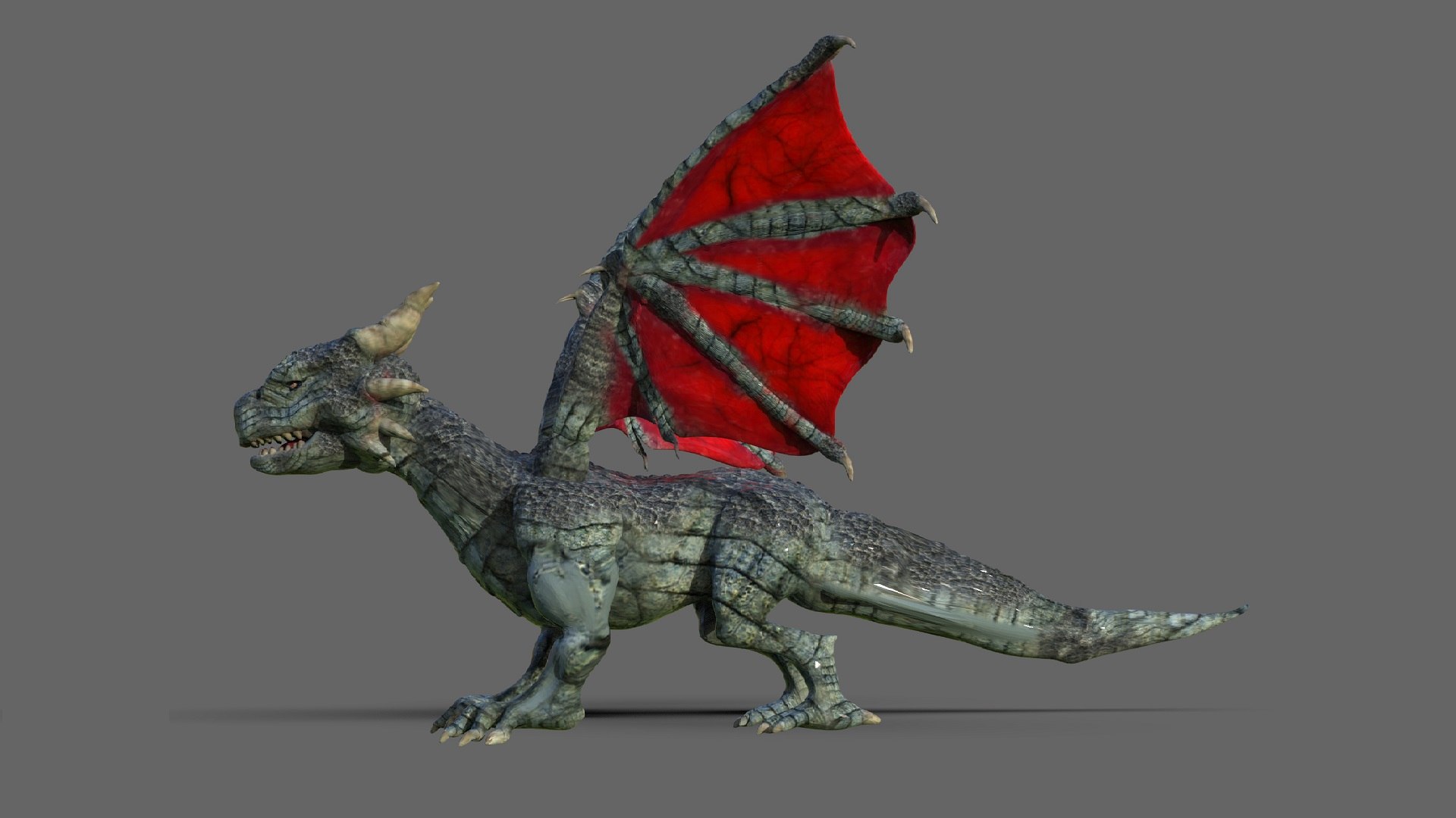 Chibi Dragon 3D Model - TurboSquid 1901624