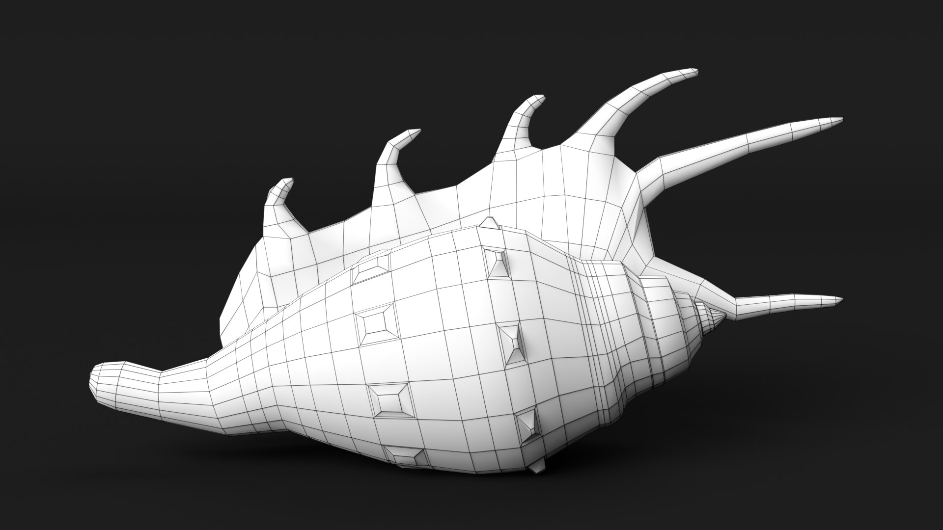Seashell shell sea model - TurboSquid 1670869