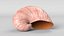 Seashell shell sea model - TurboSquid 1670869