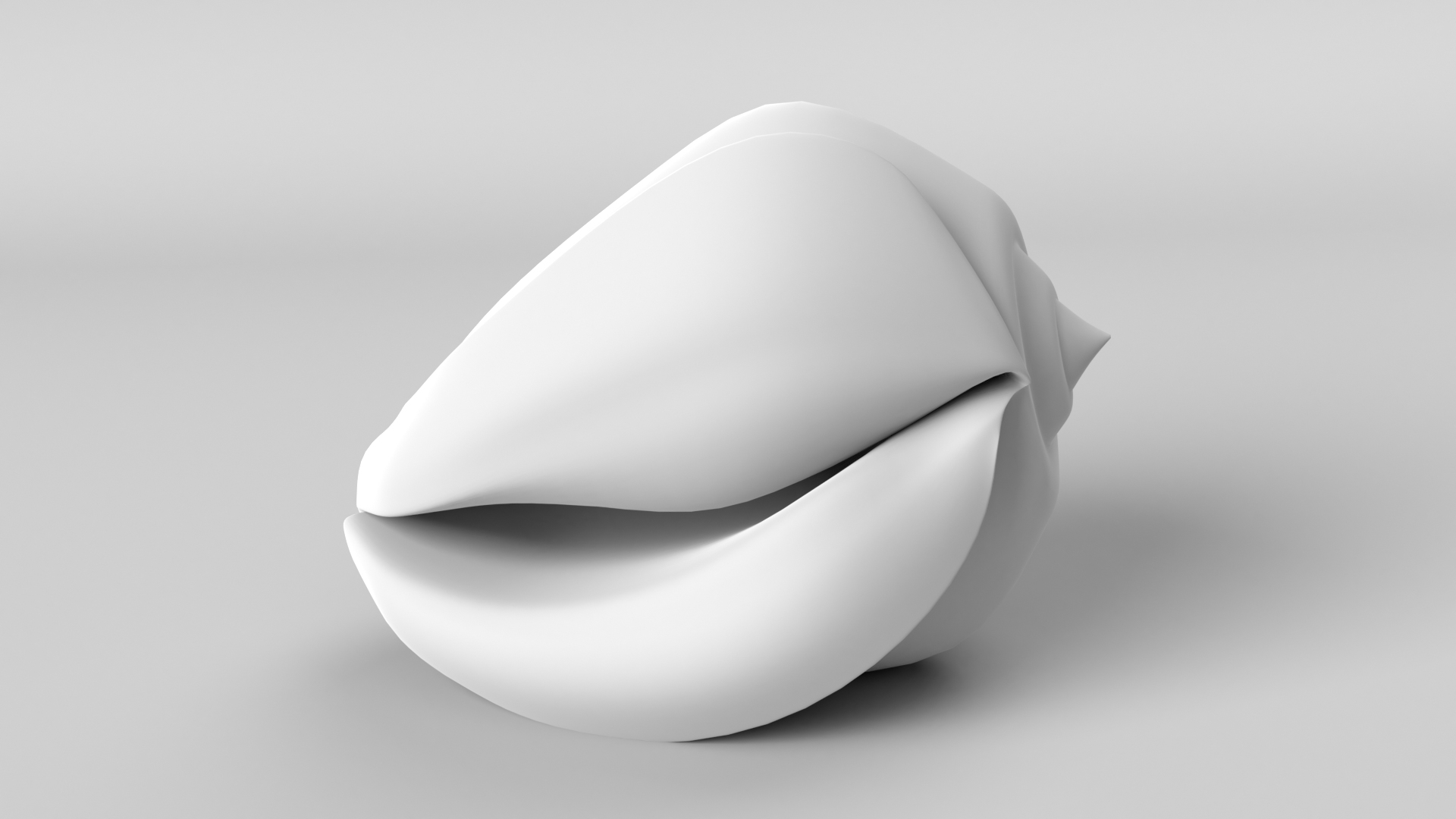 Seashell shell sea model - TurboSquid 1670869