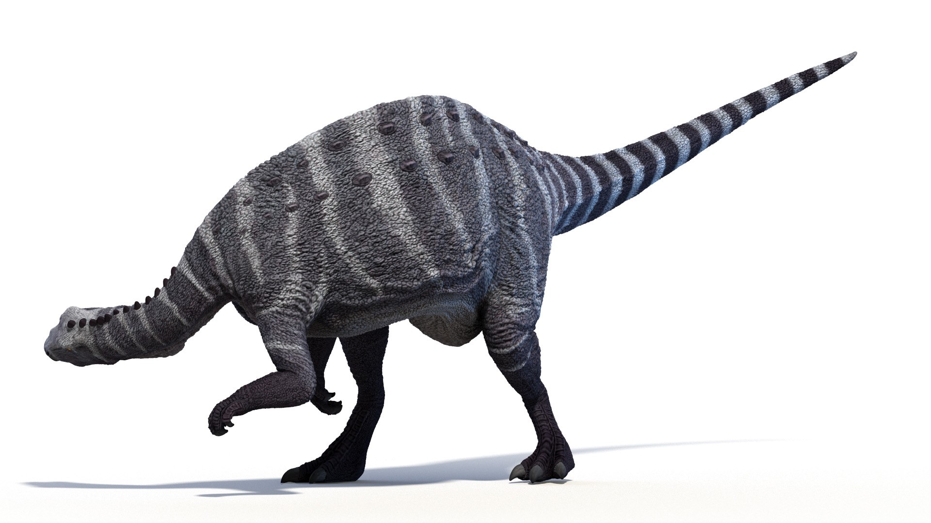 Thescelosaurus Animated Model - TurboSquid 1940058