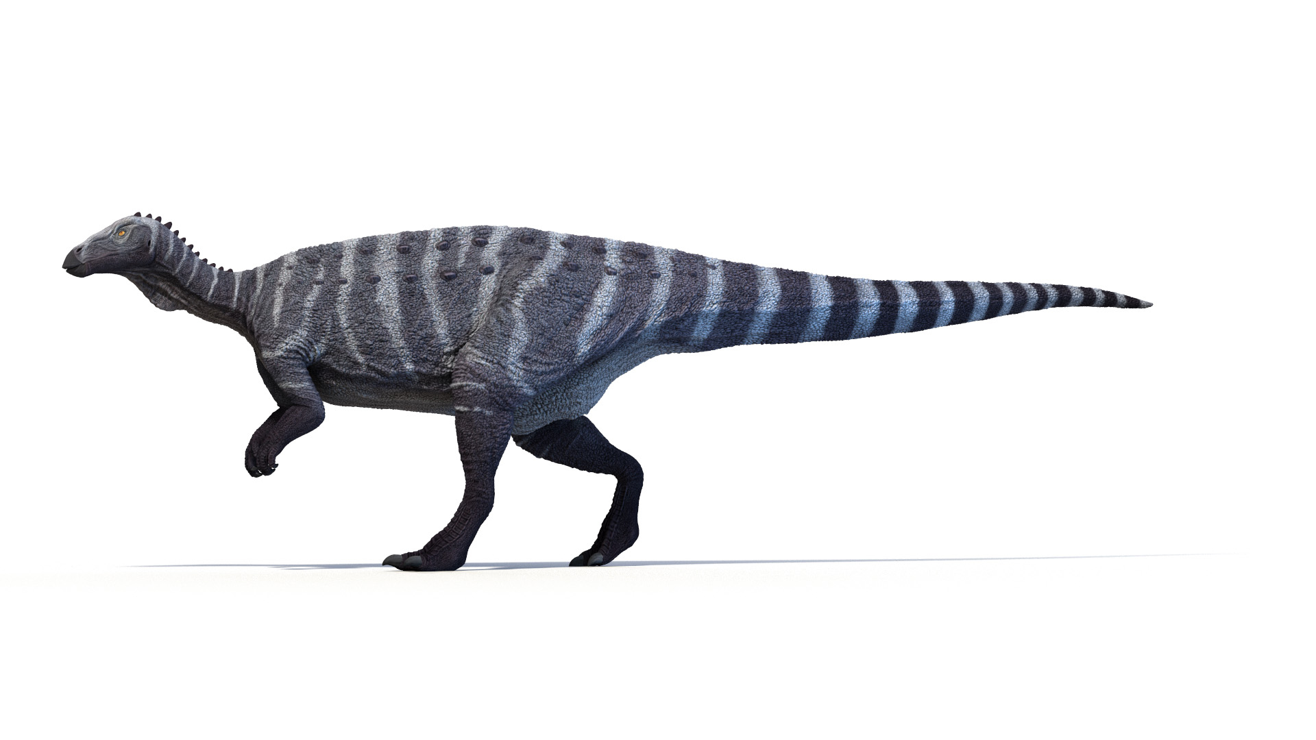 Thescelosaurus Animated Model - TurboSquid 1940058