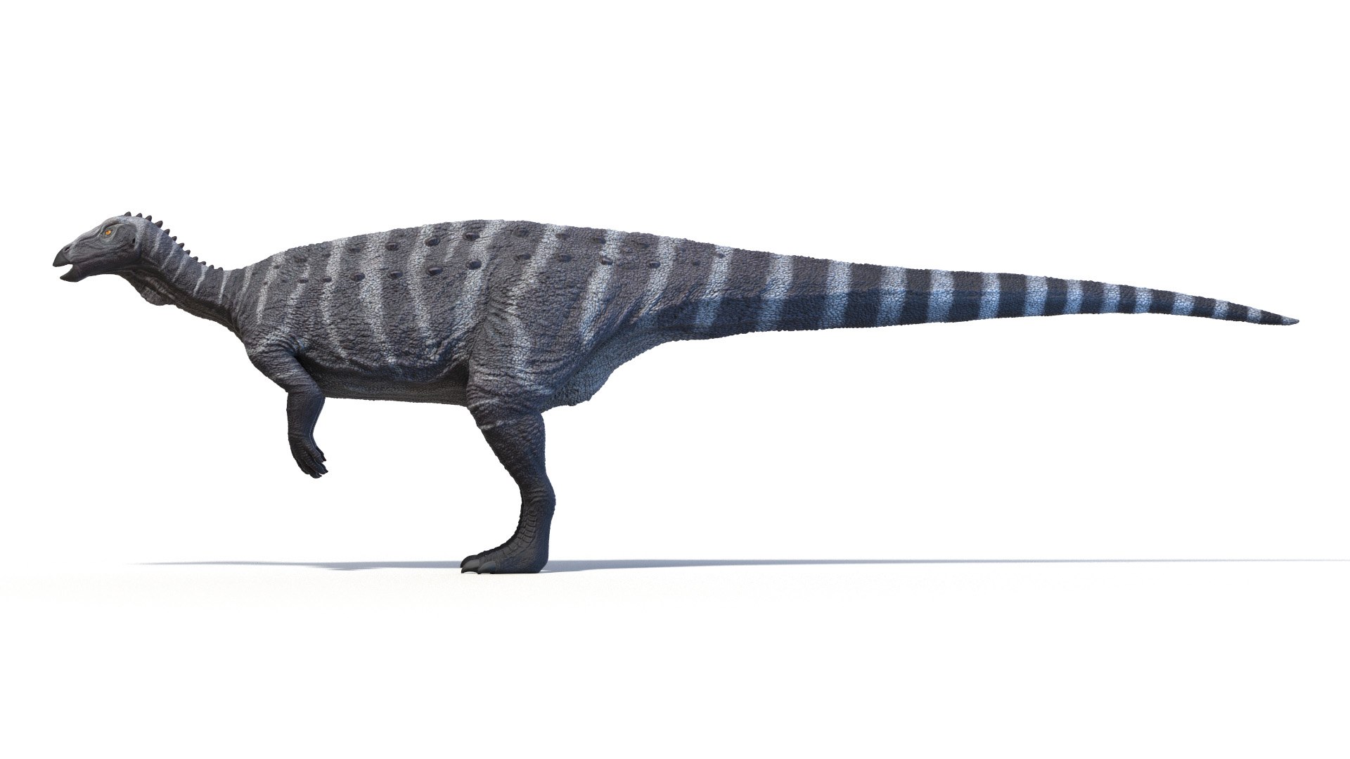 Thescelosaurus Animated Model - TurboSquid 1940058
