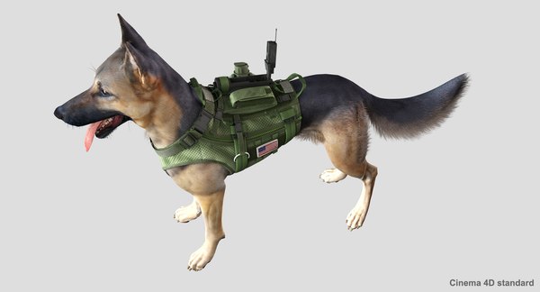 3d military dog german