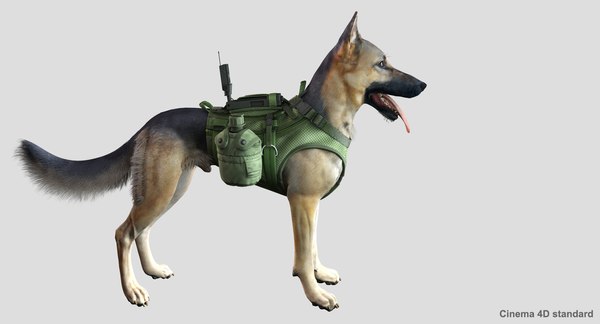 3d military dog german