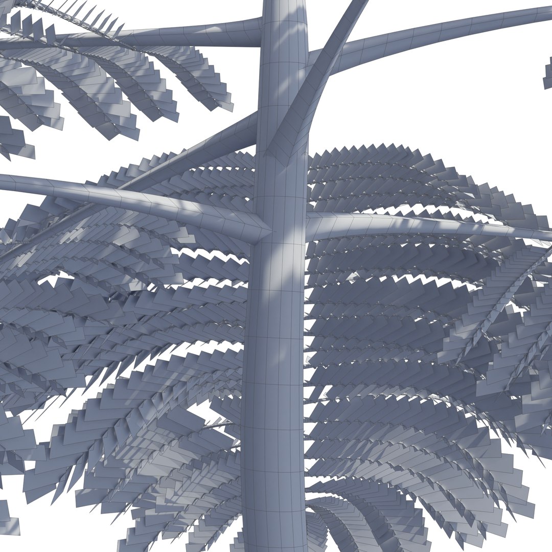 Schizolobium Parahyba 3D Model - TurboSquid 2001415