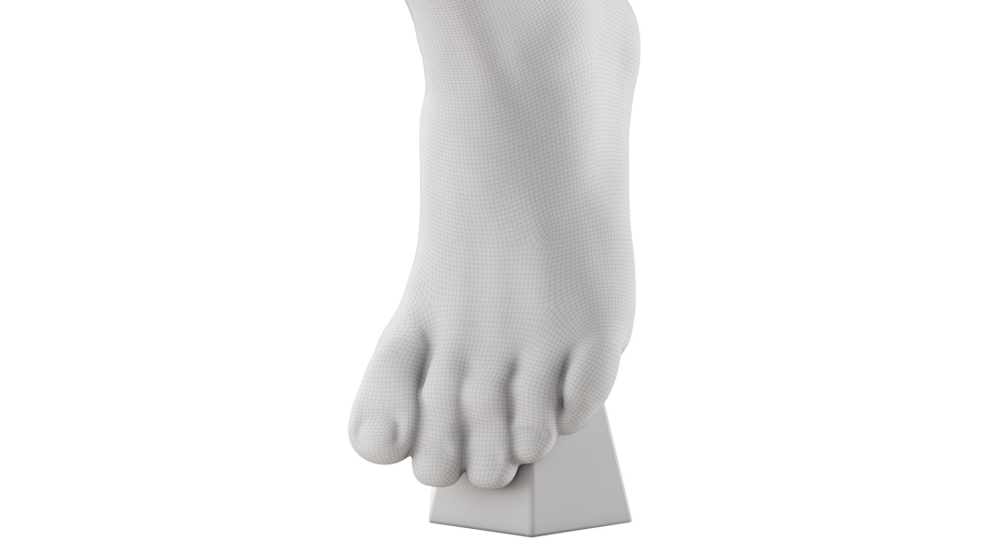 Ecorche Plaster Training Manual Foot Vertical 3D Model - TurboSquid 2223392