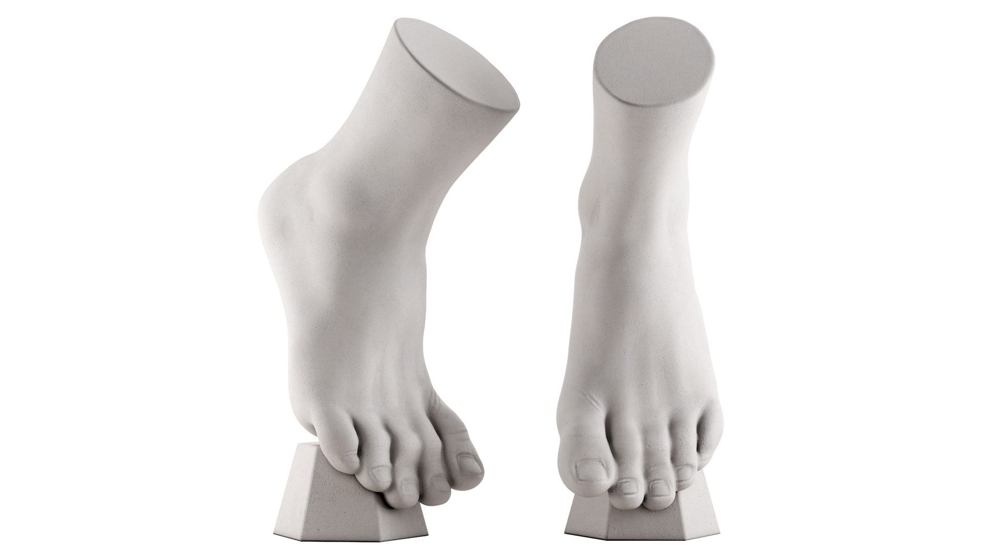 Ecorche Plaster Training Manual Foot Vertical 3D Model - TurboSquid 2223392