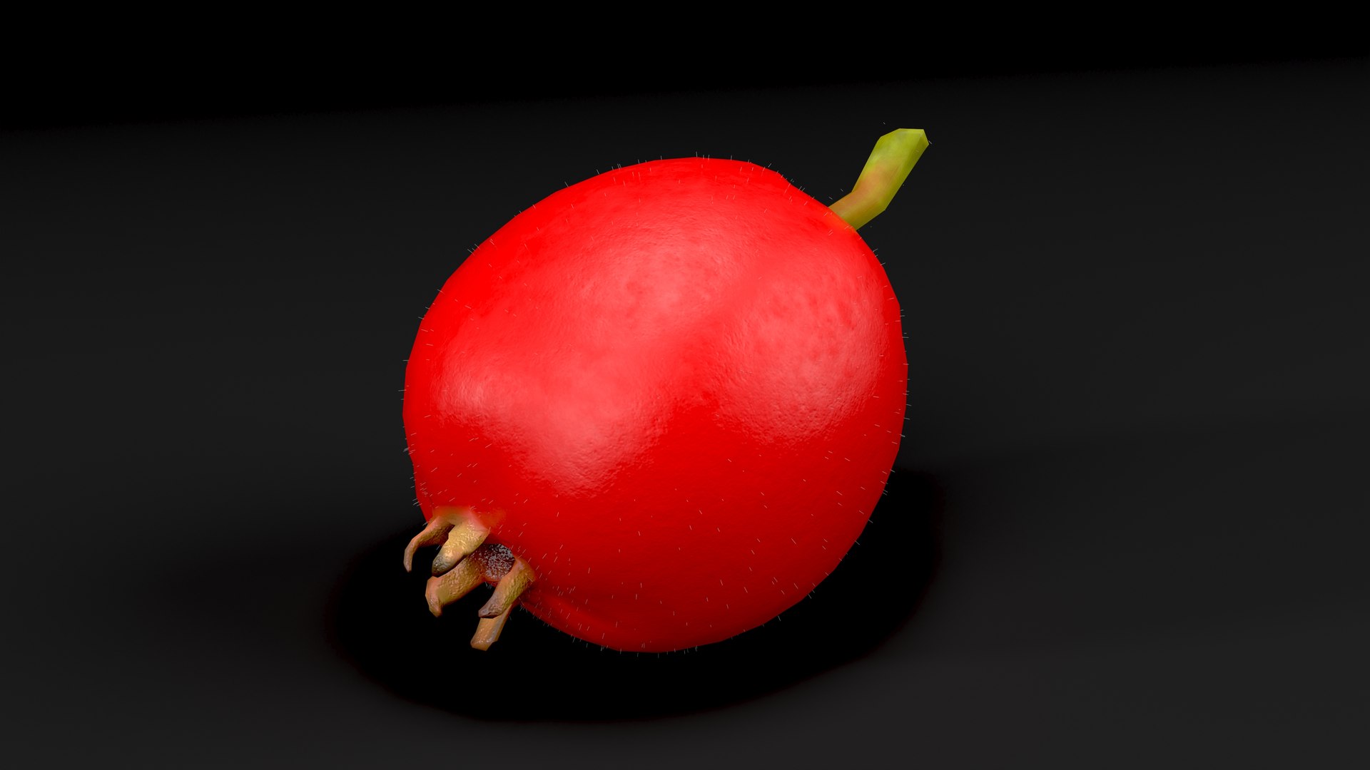 3D Hawthorn Berry Fur Model - TurboSquid 2017684