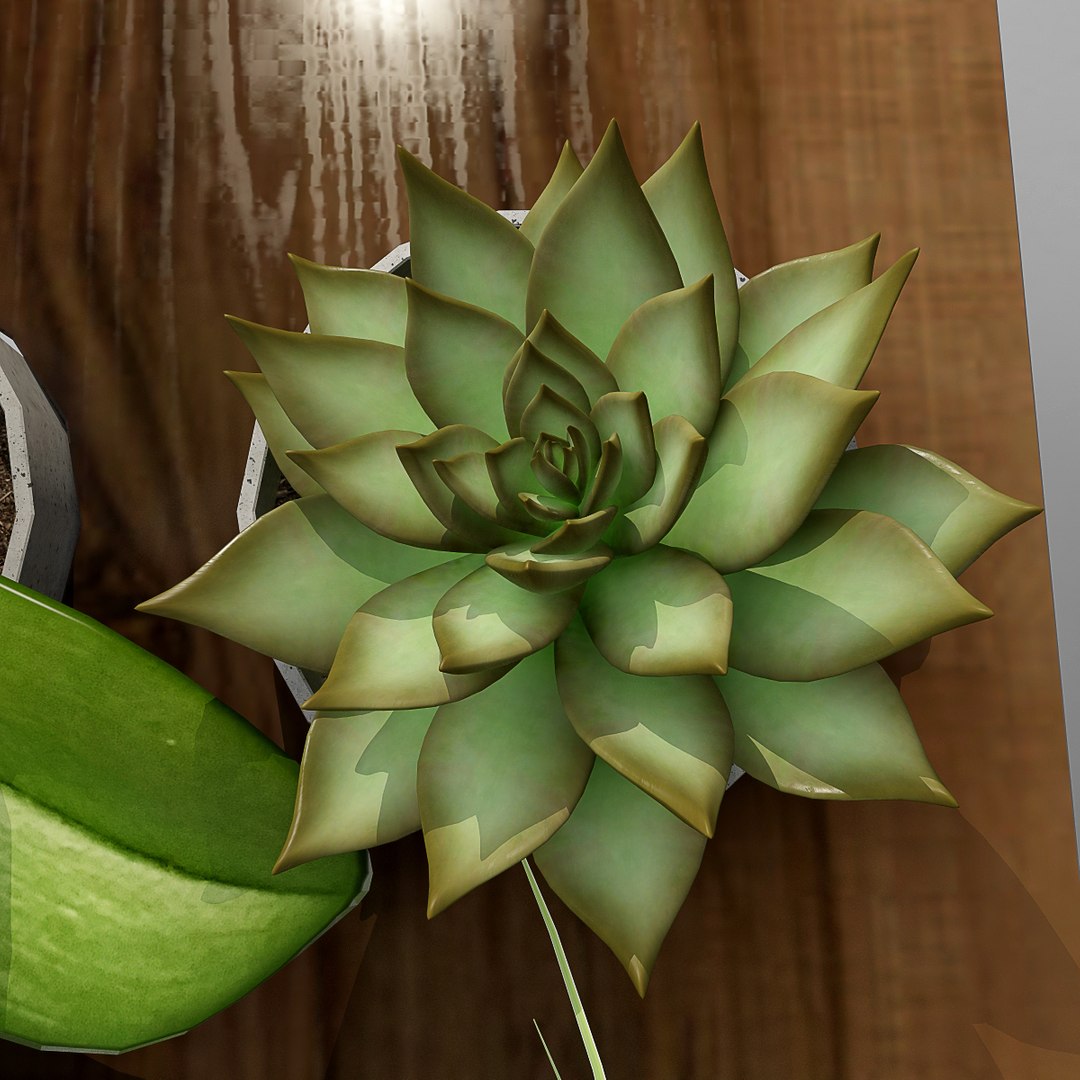 3D Flower Wood Model - TurboSquid 1213371