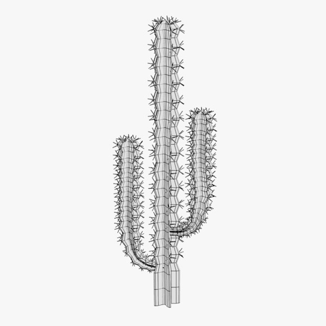 Cactus 3d Model