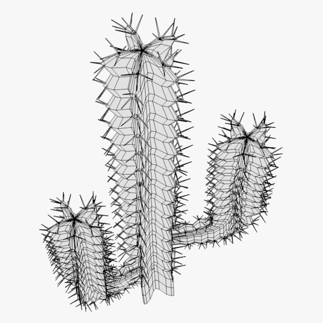 Cactus 3d Model