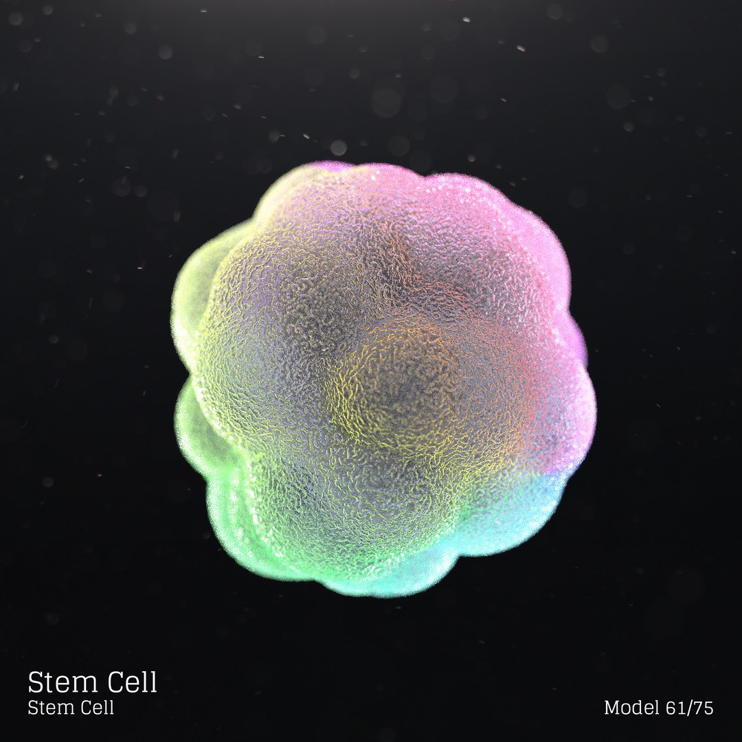3D Microbes Bacteria Cells Model - TurboSquid 1626129