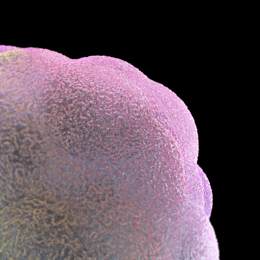 3D Microbes Bacteria Cells Model - TurboSquid 1626129