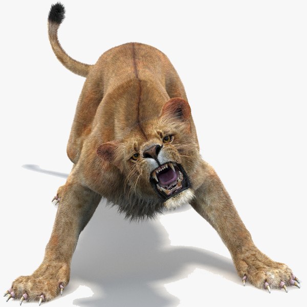 modelo 3d Leona (2) (Animado, Piel) - TurboSquid 873059