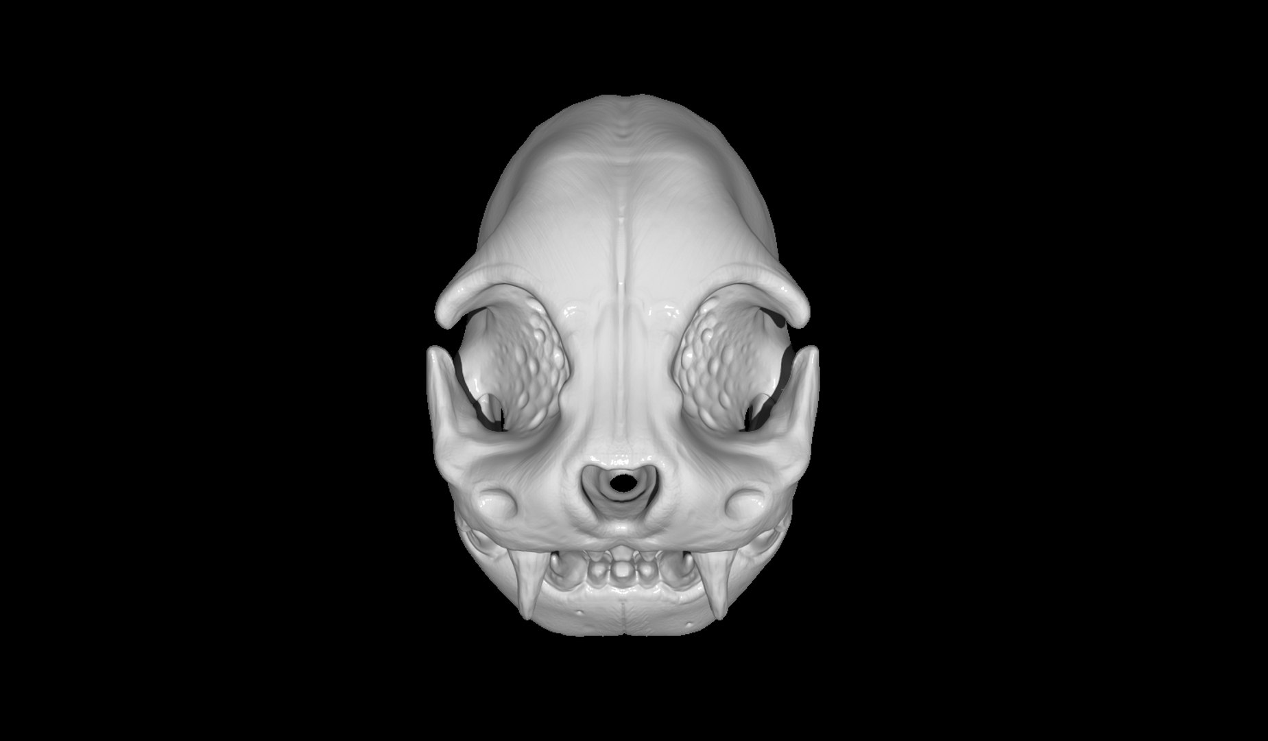 3D Creature Skull Model - TurboSquid 2101141