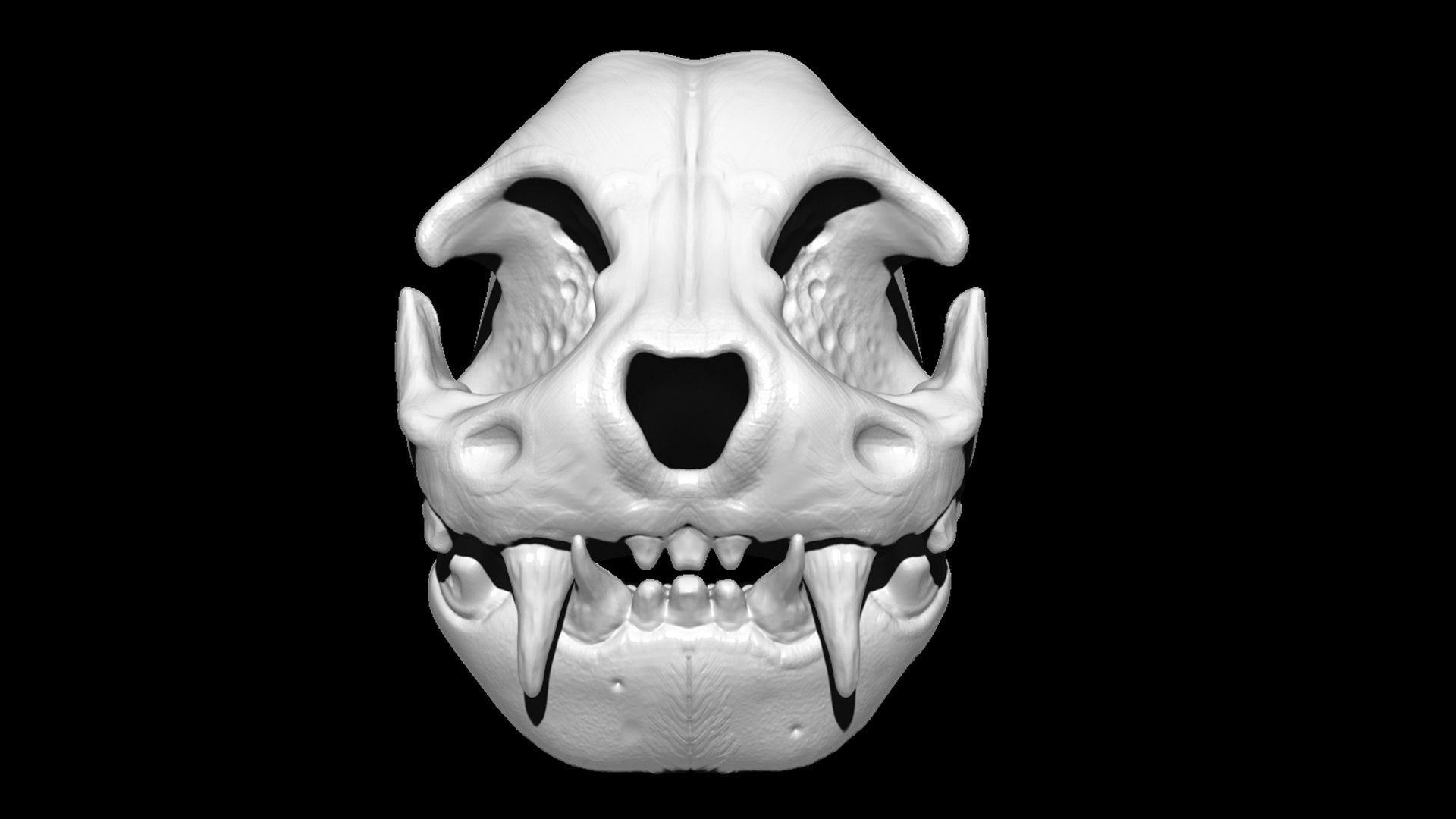 3D Creature Skull Model - TurboSquid 2101141