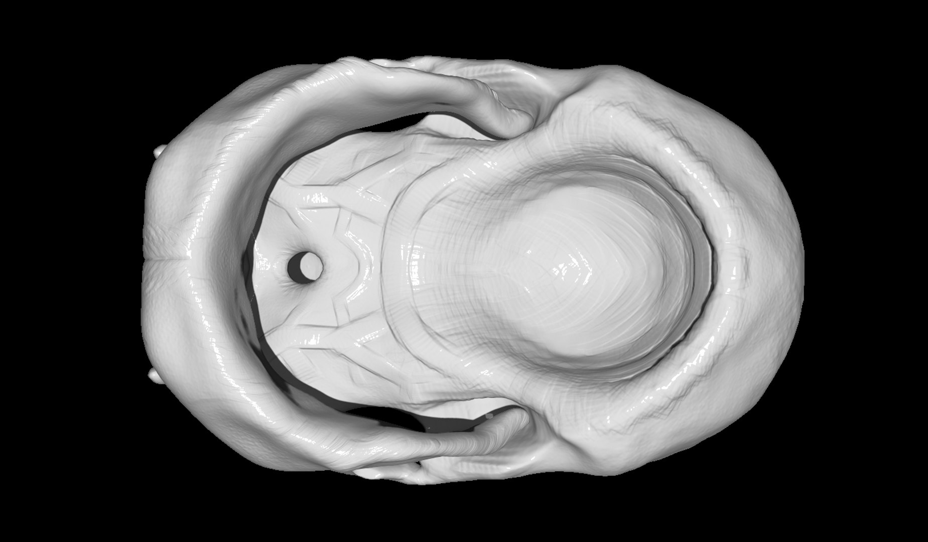 3D Creature Skull Model - TurboSquid 2101141