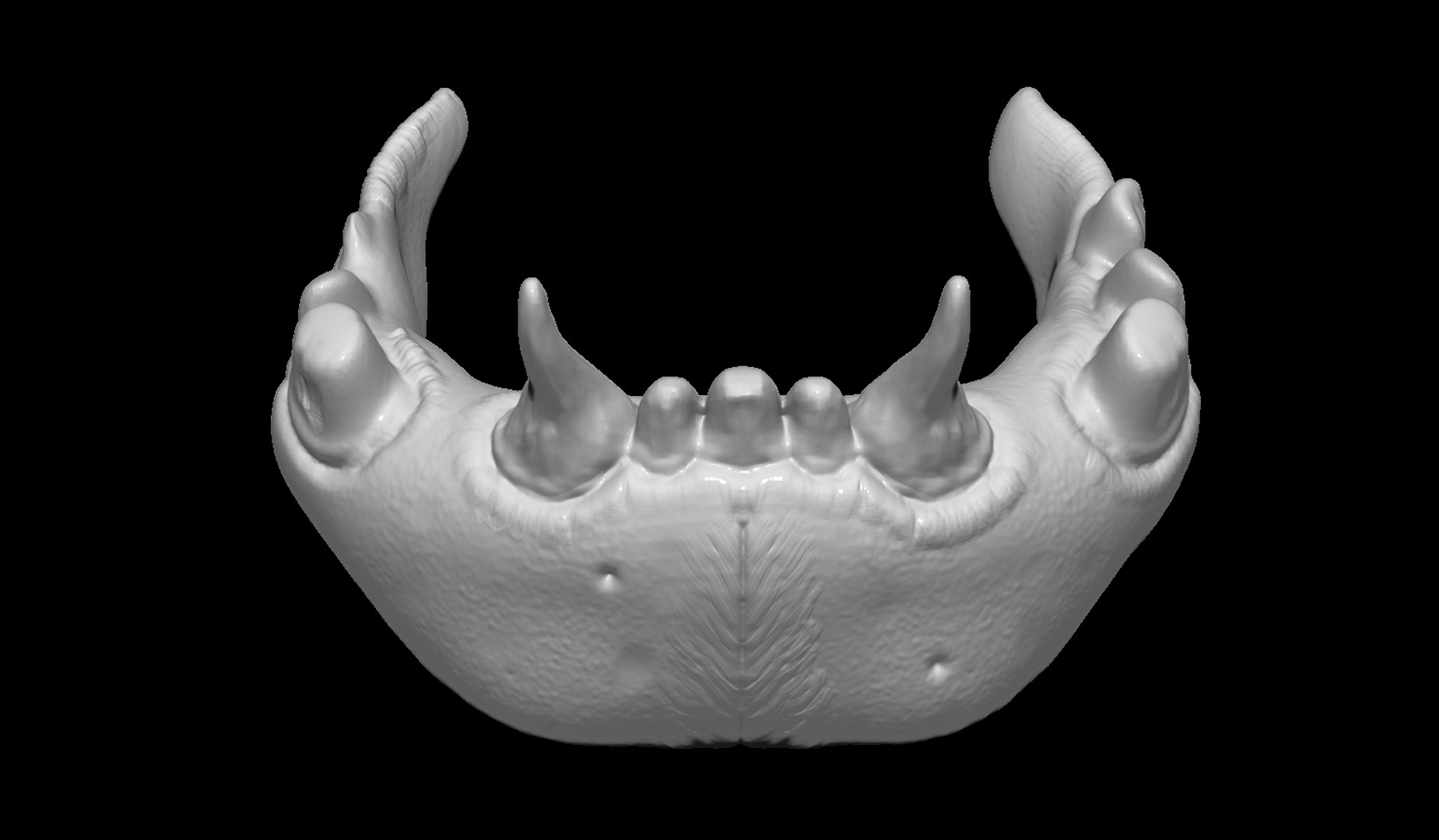3D Creature Skull Model - TurboSquid 2101141