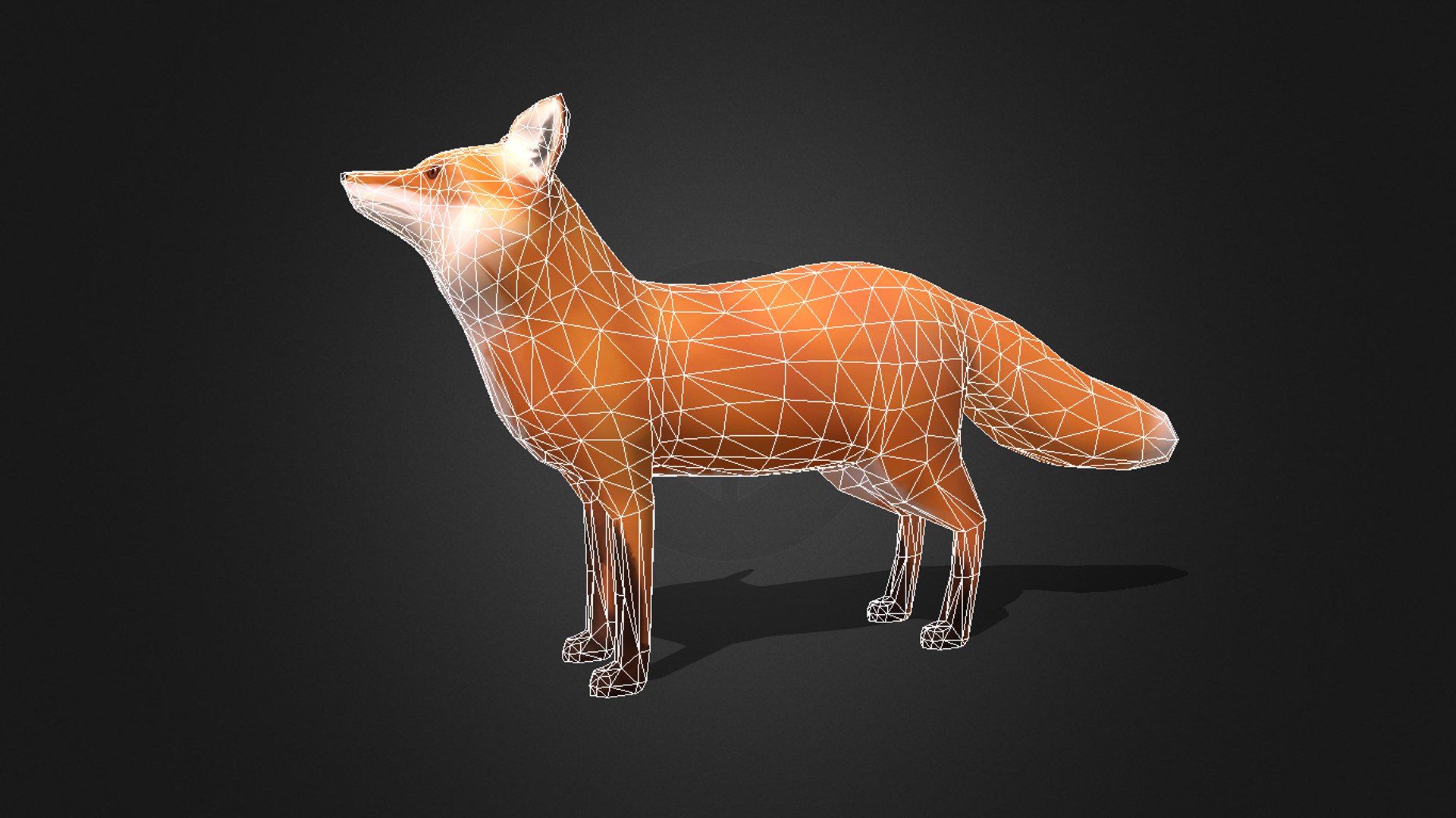 Rig Animation 3D - TurboSquid 1367642