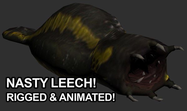 Leech 3D Models for Download | TurboSquid
