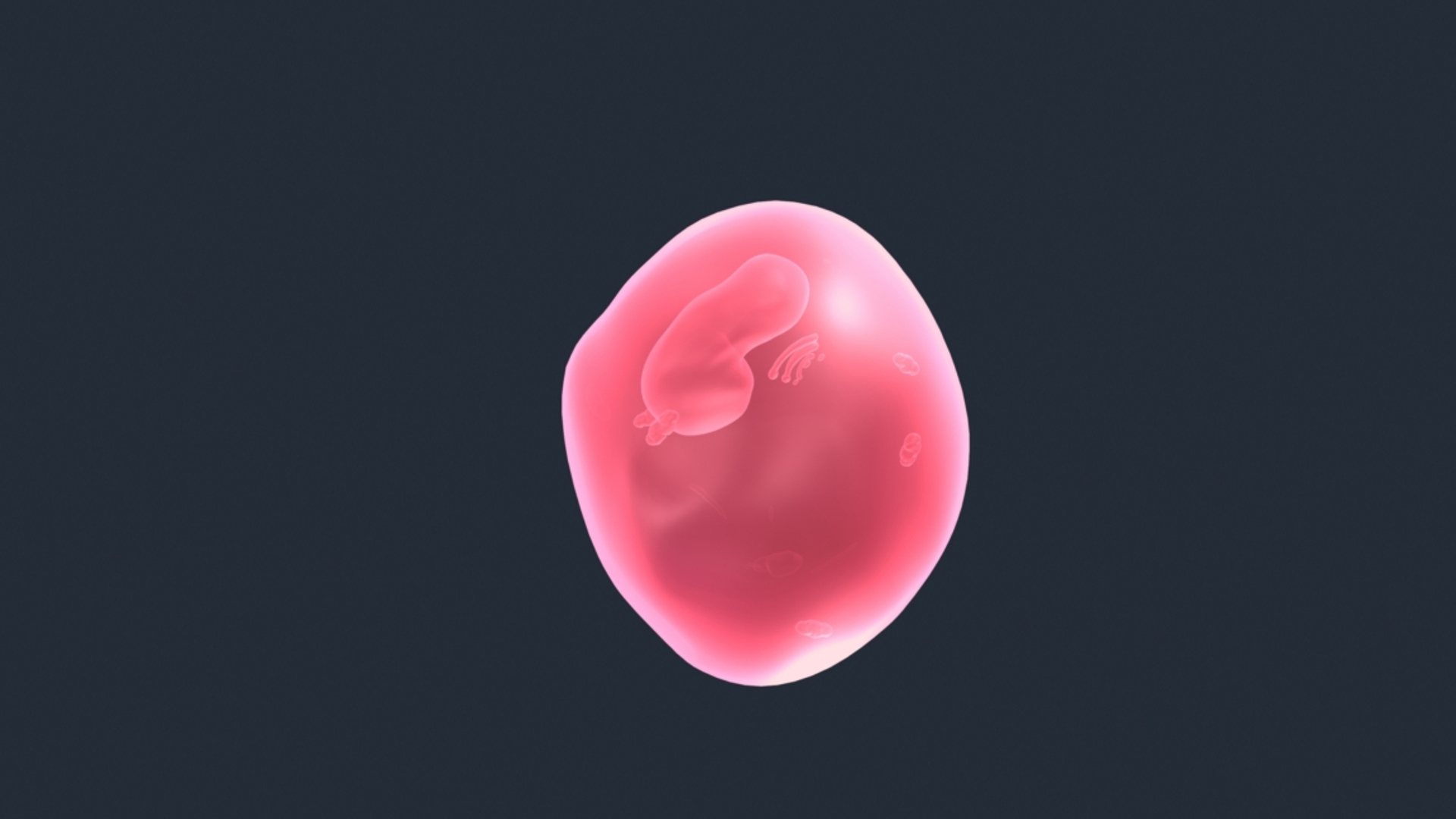 3D monocytes white cell - TurboSquid 1264381