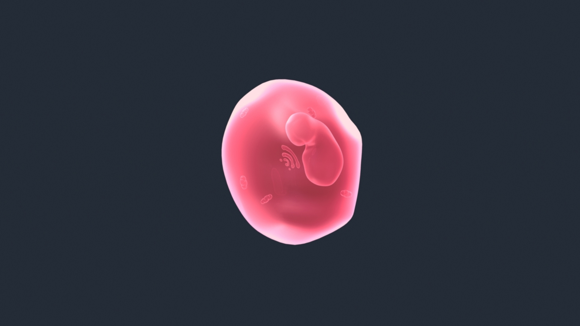 3D monocytes white cell - TurboSquid 1264381