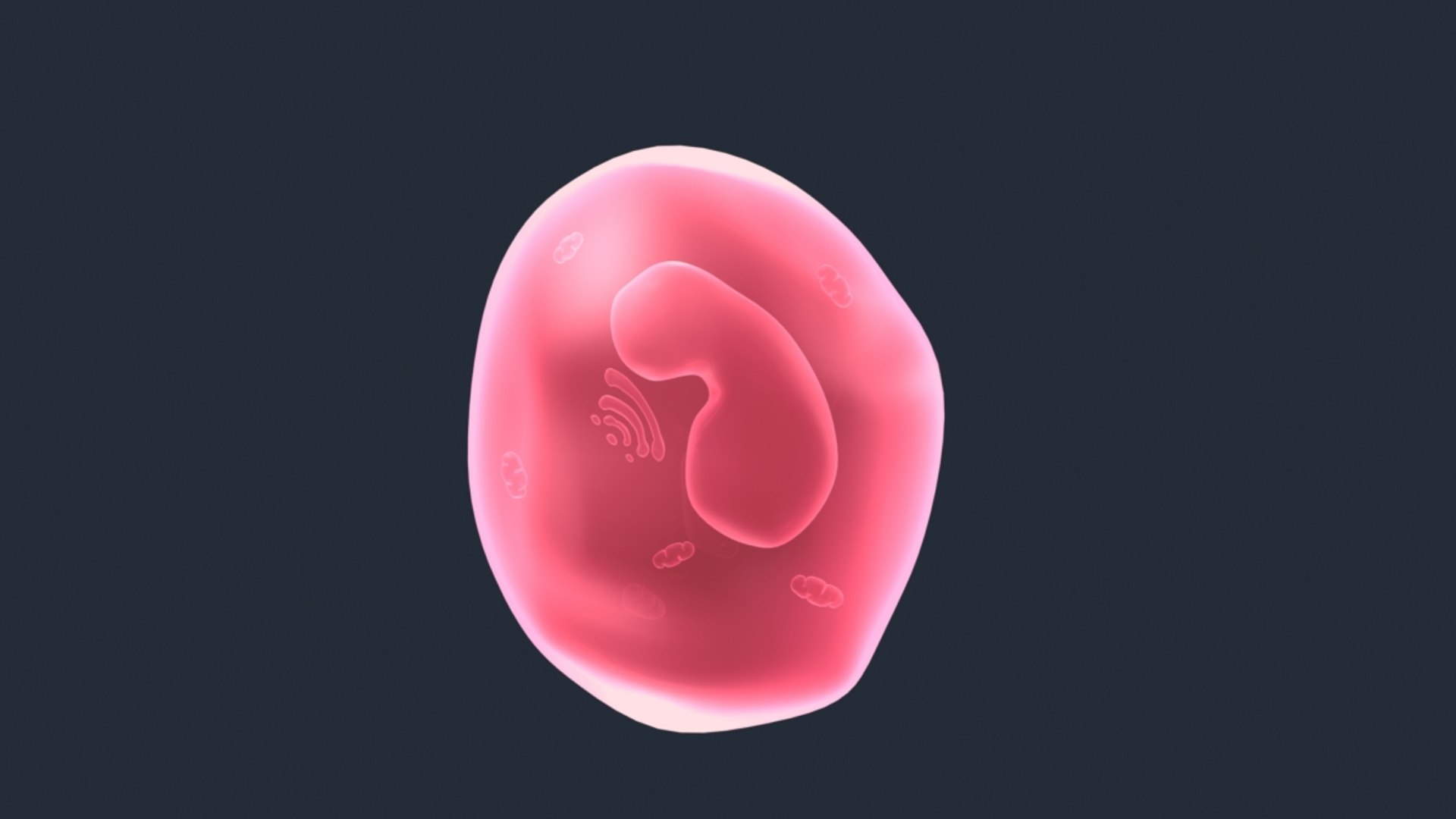 3D Monocytes White Cell - TurboSquid 1264381