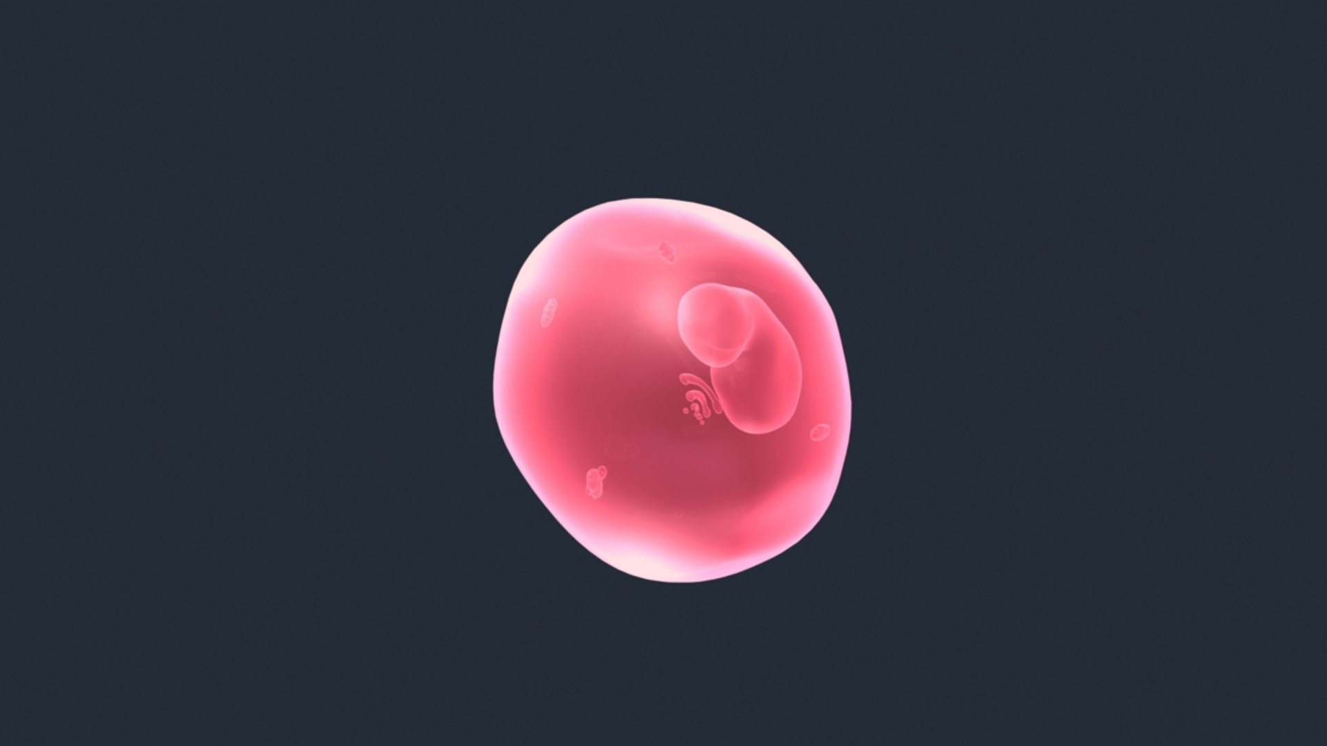 3D Monocytes White Cell - TurboSquid 1264381