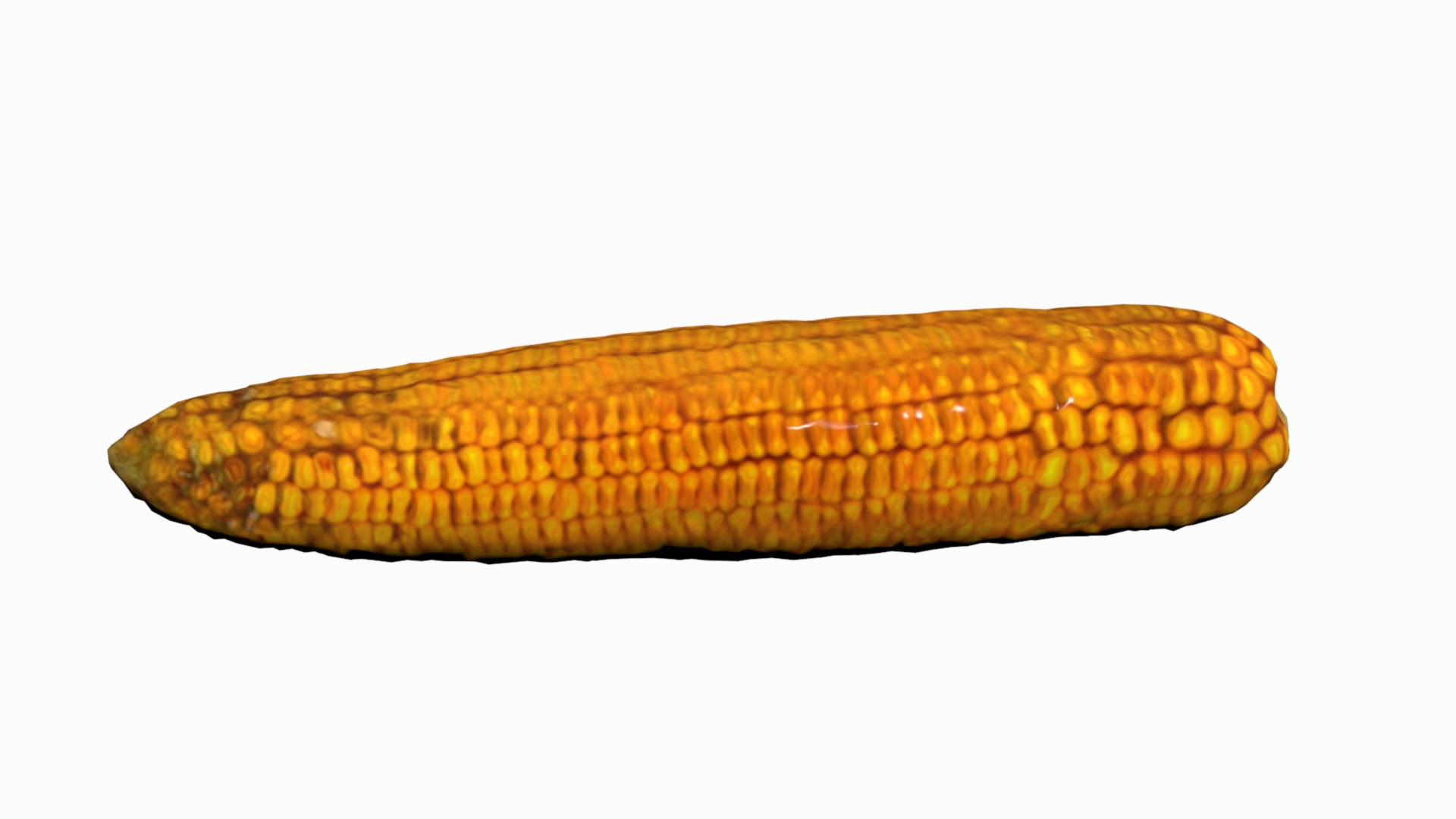 3D Corn Cob - TurboSquid 1604073