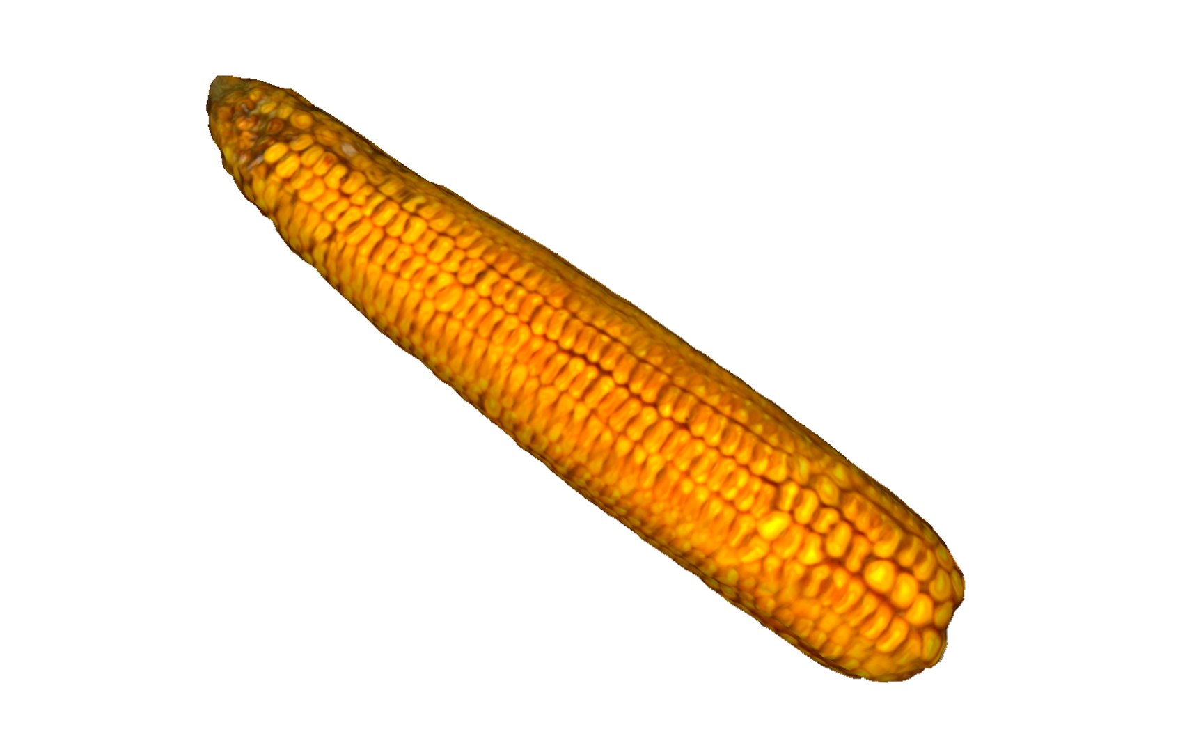 3D Corn Cob - TurboSquid 1604073