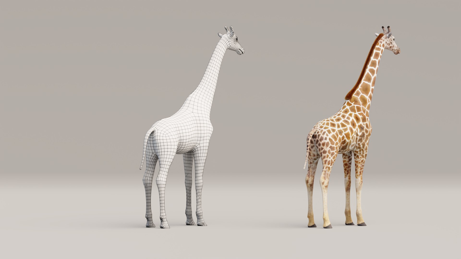 Rigged Giraffe 3D Model - TurboSquid 1700253