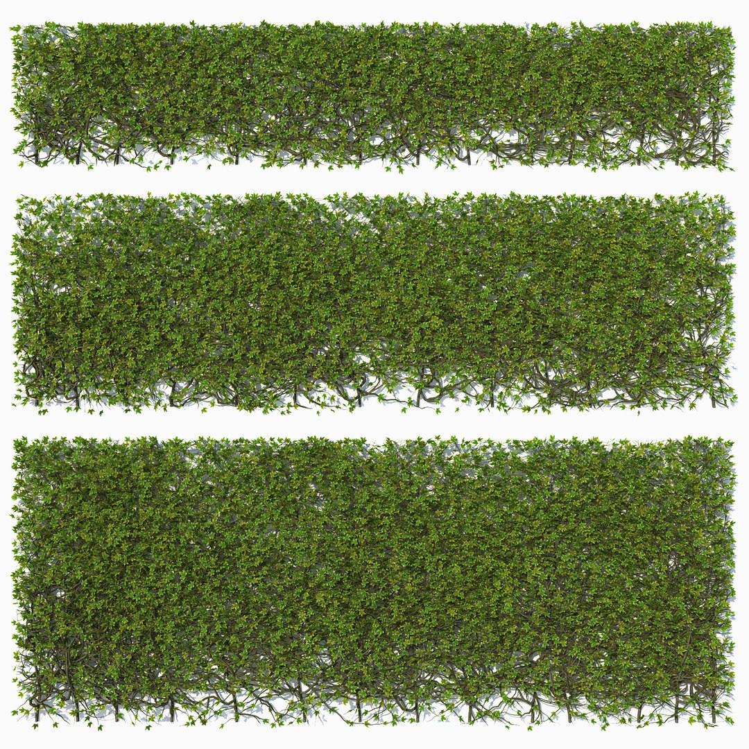 Ivy Wall 16 3D Model - TurboSquid 1951302