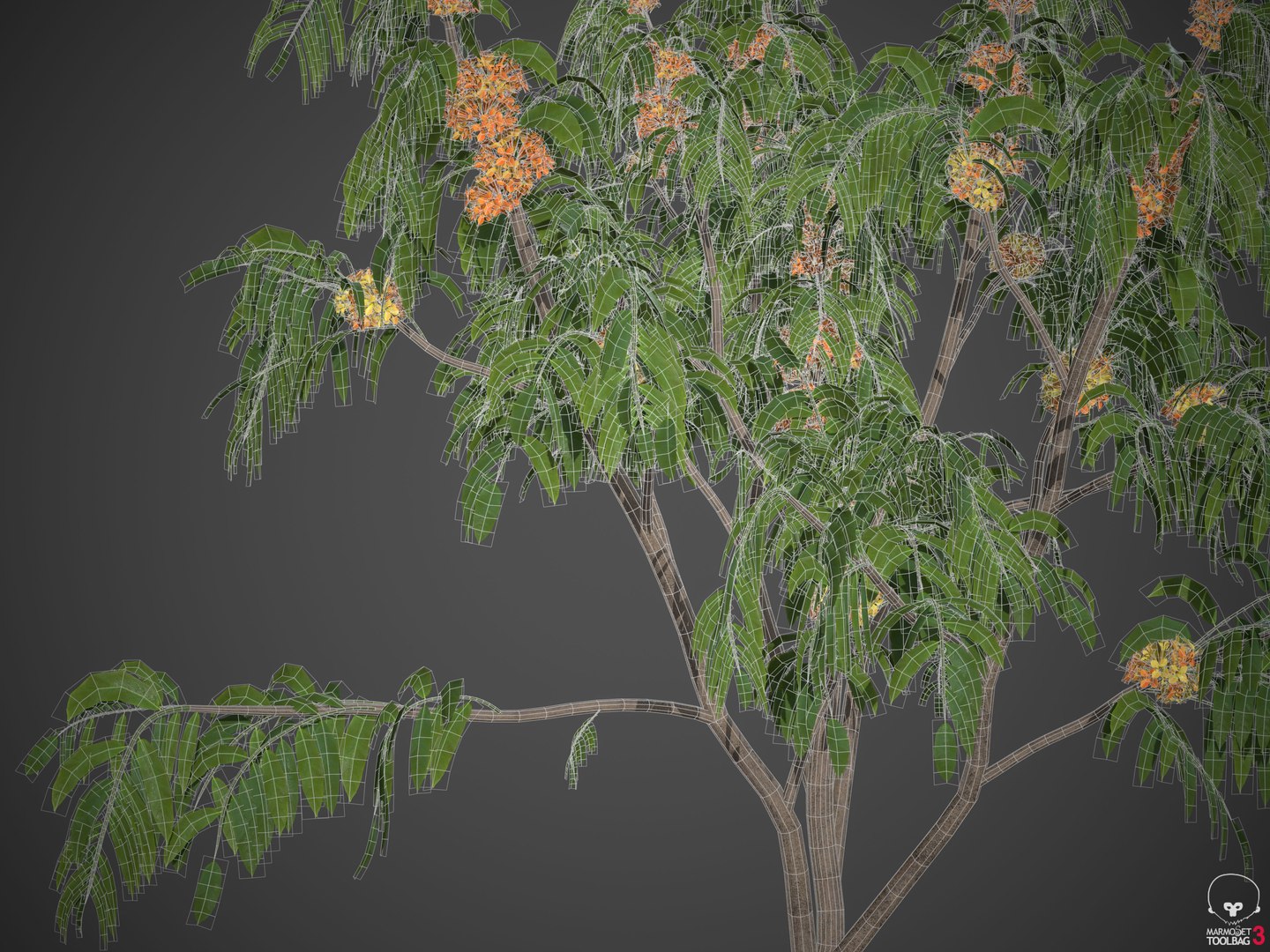 Ashoka Tree 3D Model - TurboSquid 1679694
