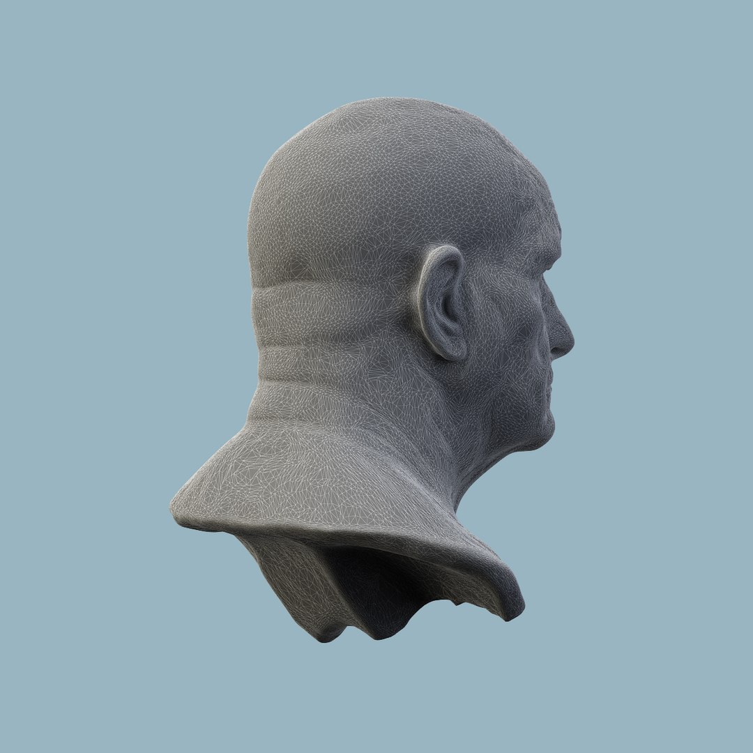 Roman Bust 3d Model