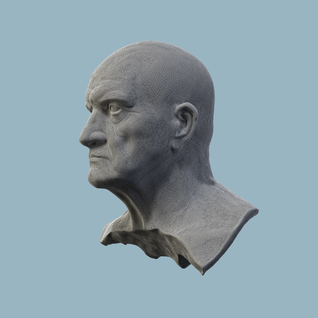 Roman Bust 3d Model