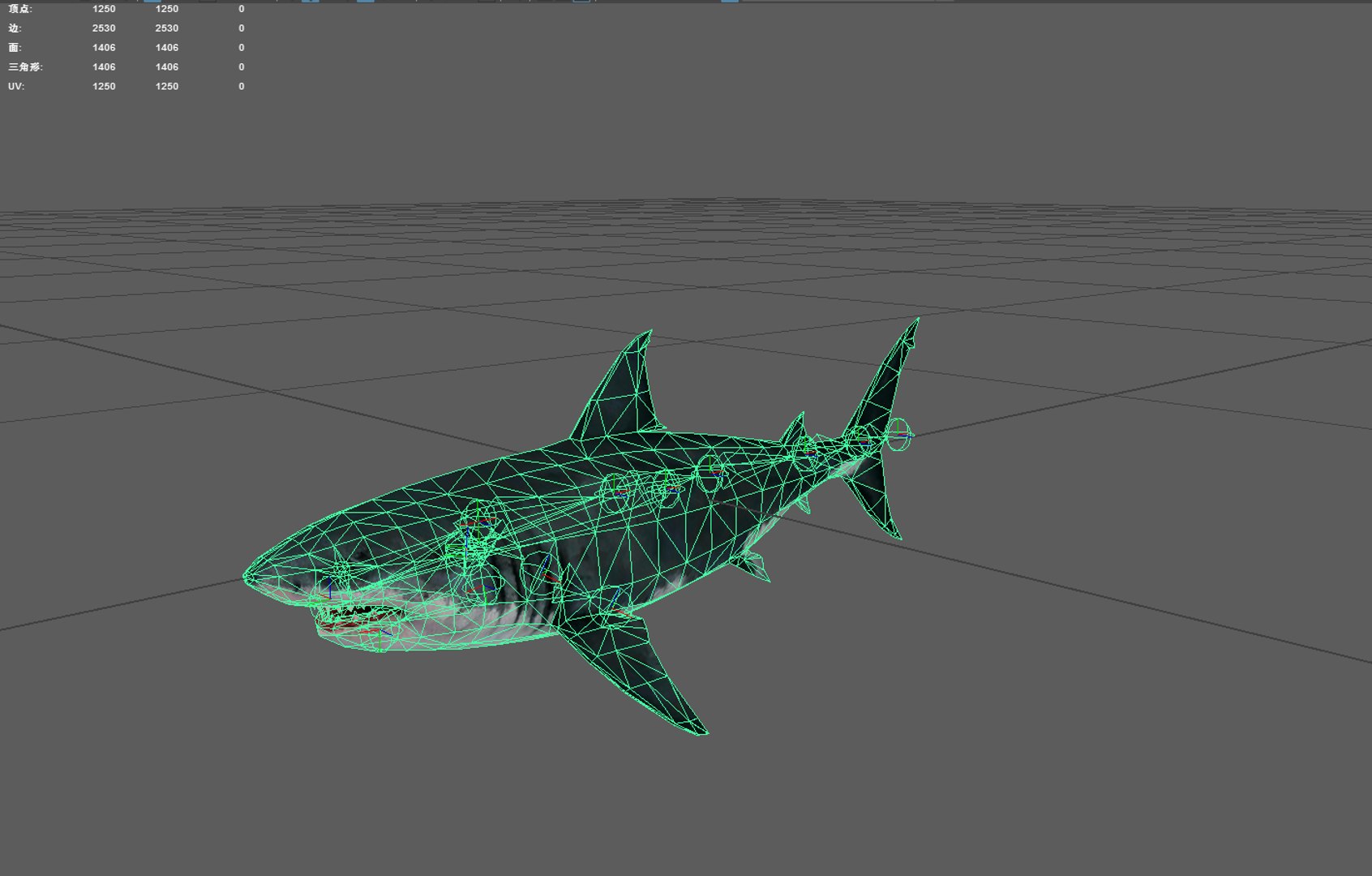 3D Shark Model - TurboSquid 2122043