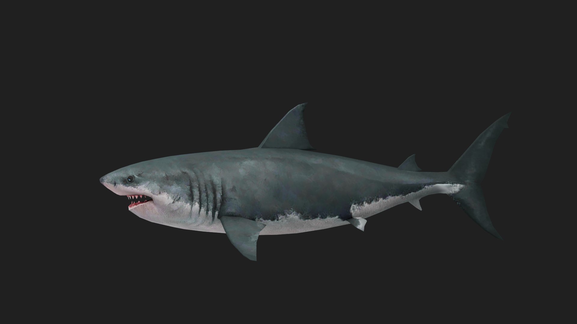 3D Shark Model - TurboSquid 2122043