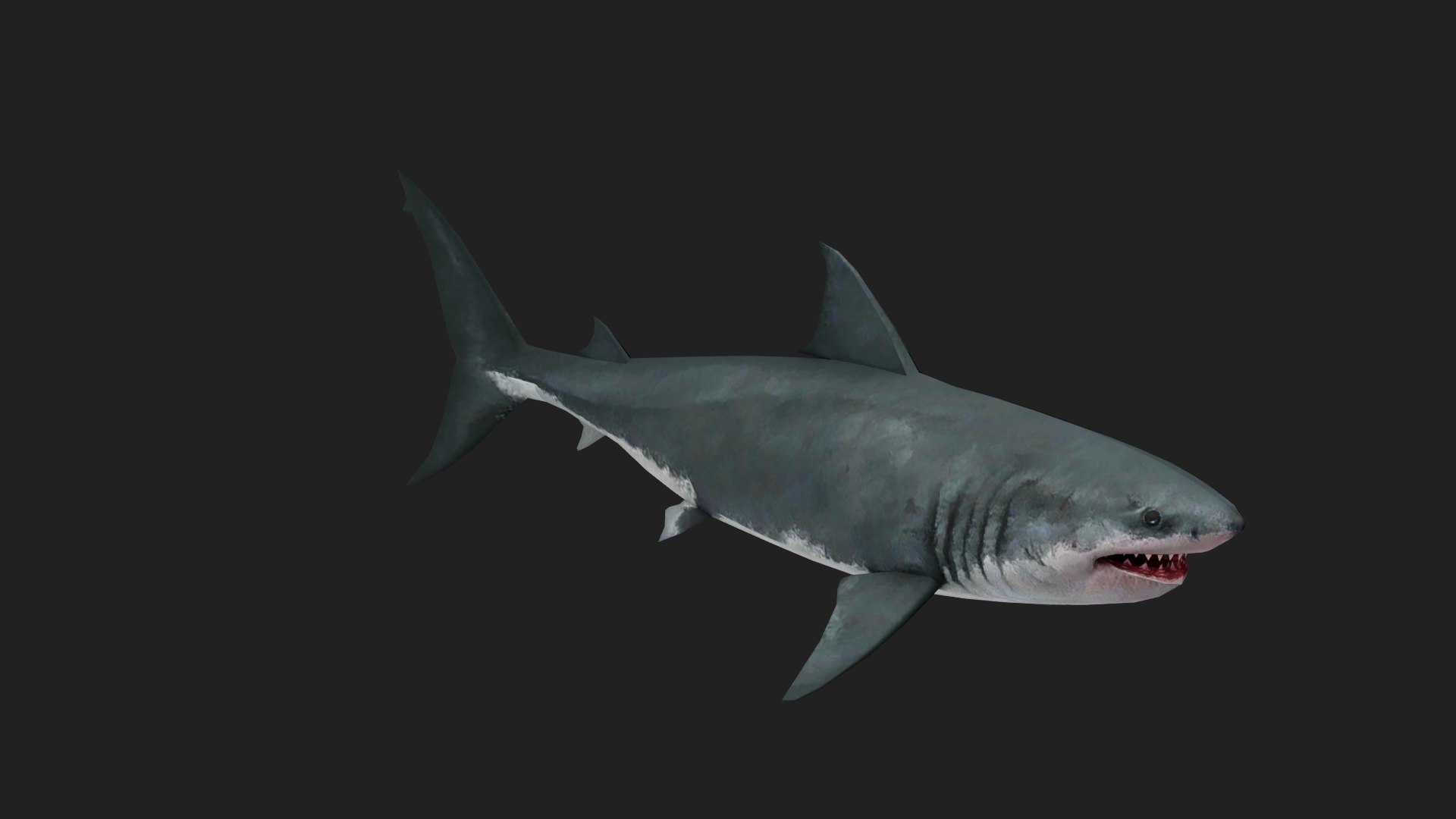 3D Shark Model - TurboSquid 2122043