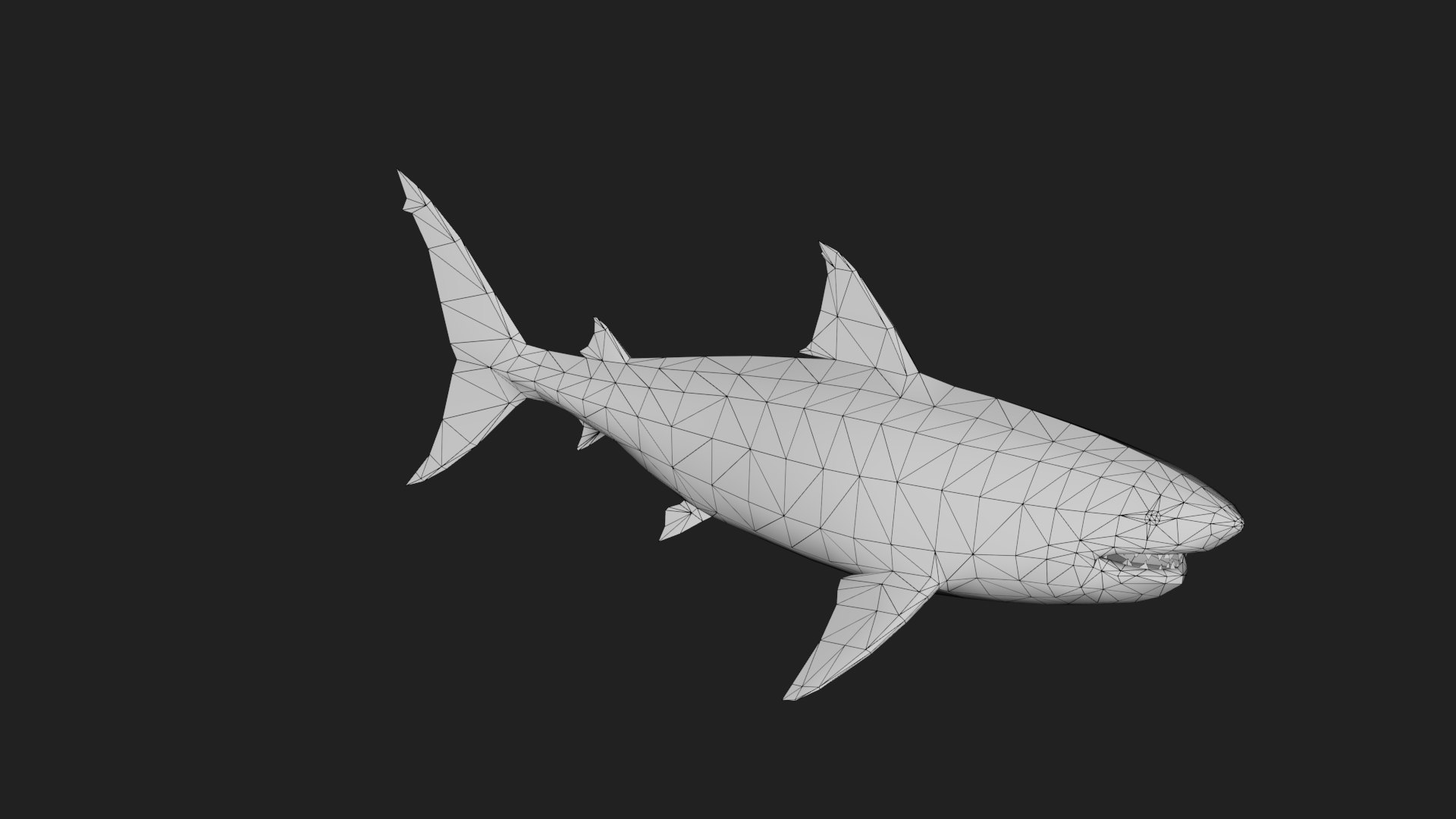 3D Shark Model - TurboSquid 2122043