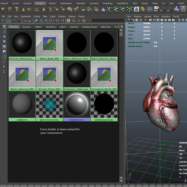 3d human heart