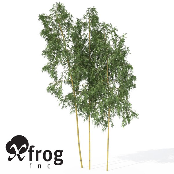 Free 3D Bamboo Models | TurboSquid