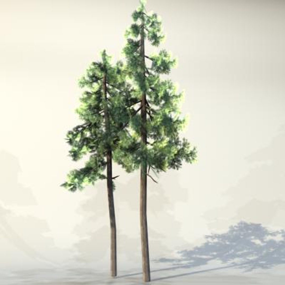 3d Pc Tree Model