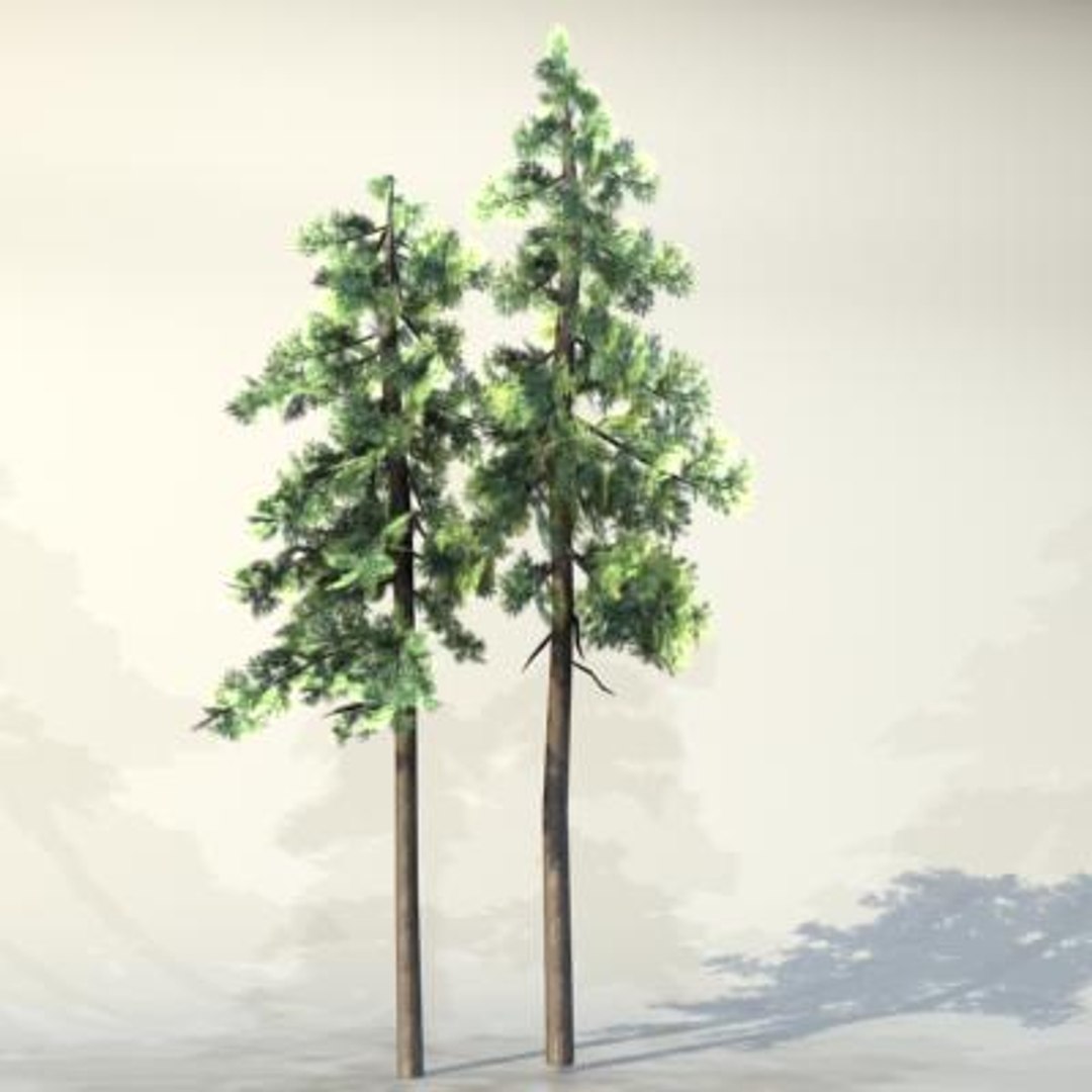 3d Pc Tree Model